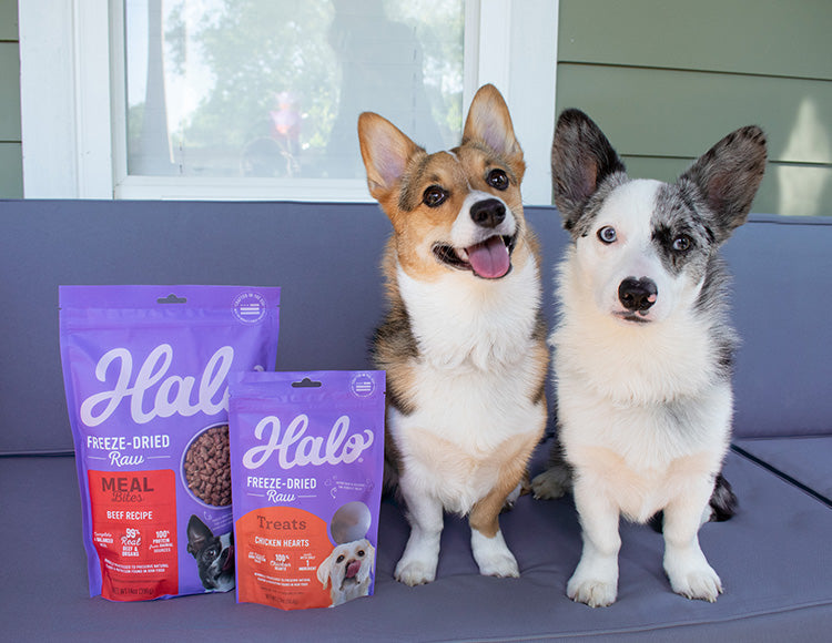 Halo Pets